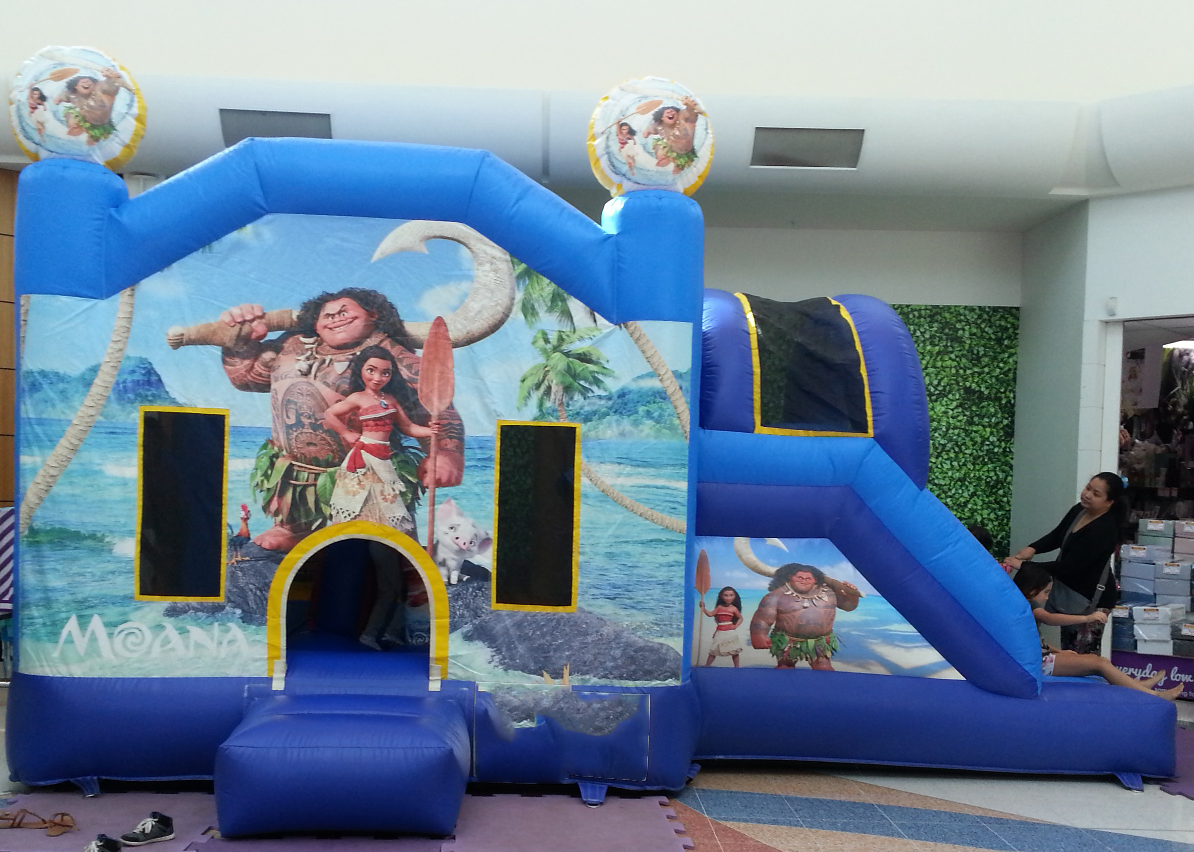 Crazy Bouncy Castle Hire Perth Jumping Castles - Disney bouncy castle